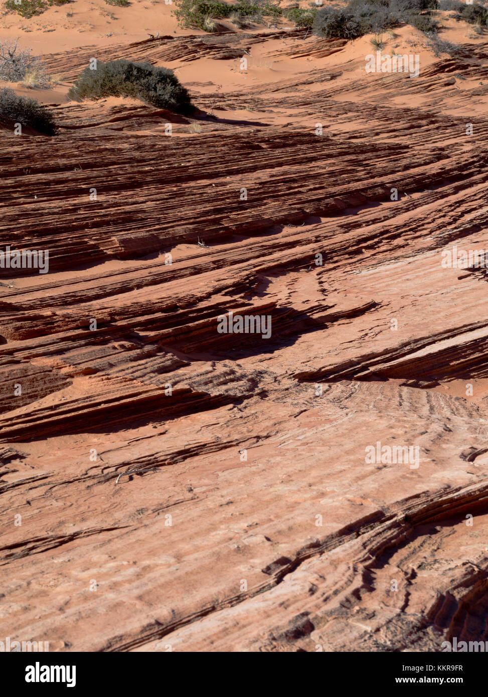 Photograph of the beautiful geology and wild rock formations at South ...