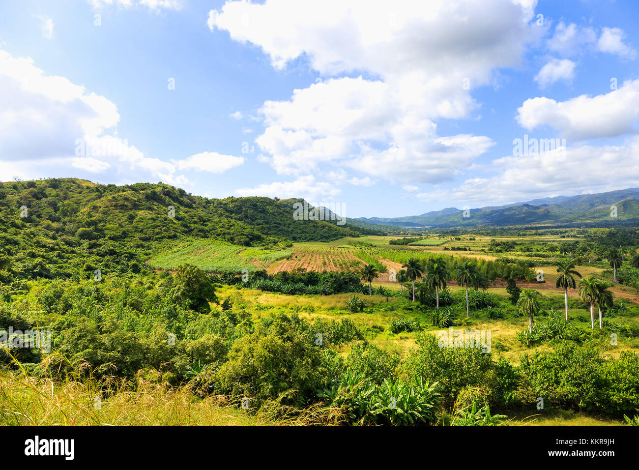 Island of hispaniola hi-res stock photography and images - Alamy