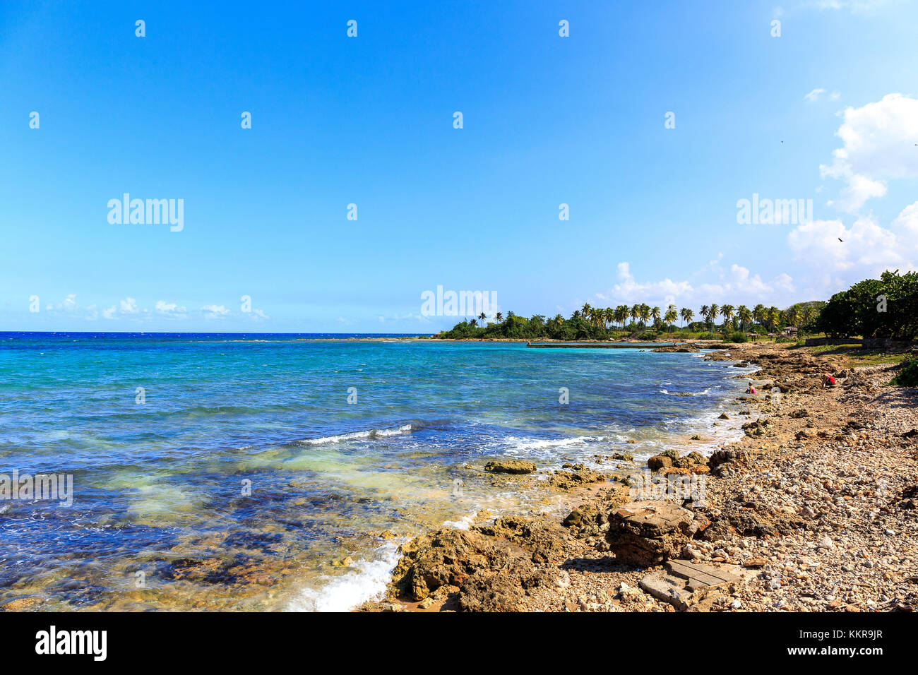 Cuba is the largest island in the Caribbean, with an area of 109,884 ...