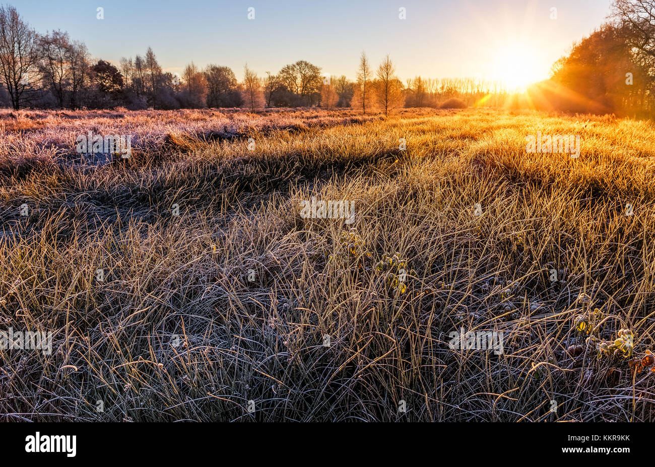 East Frisia or Eastern Friesland is a coastal region in the northwest ...