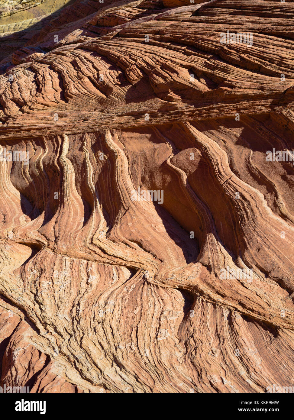 Photograph of the beautiful geology and wild rock formations at South ...