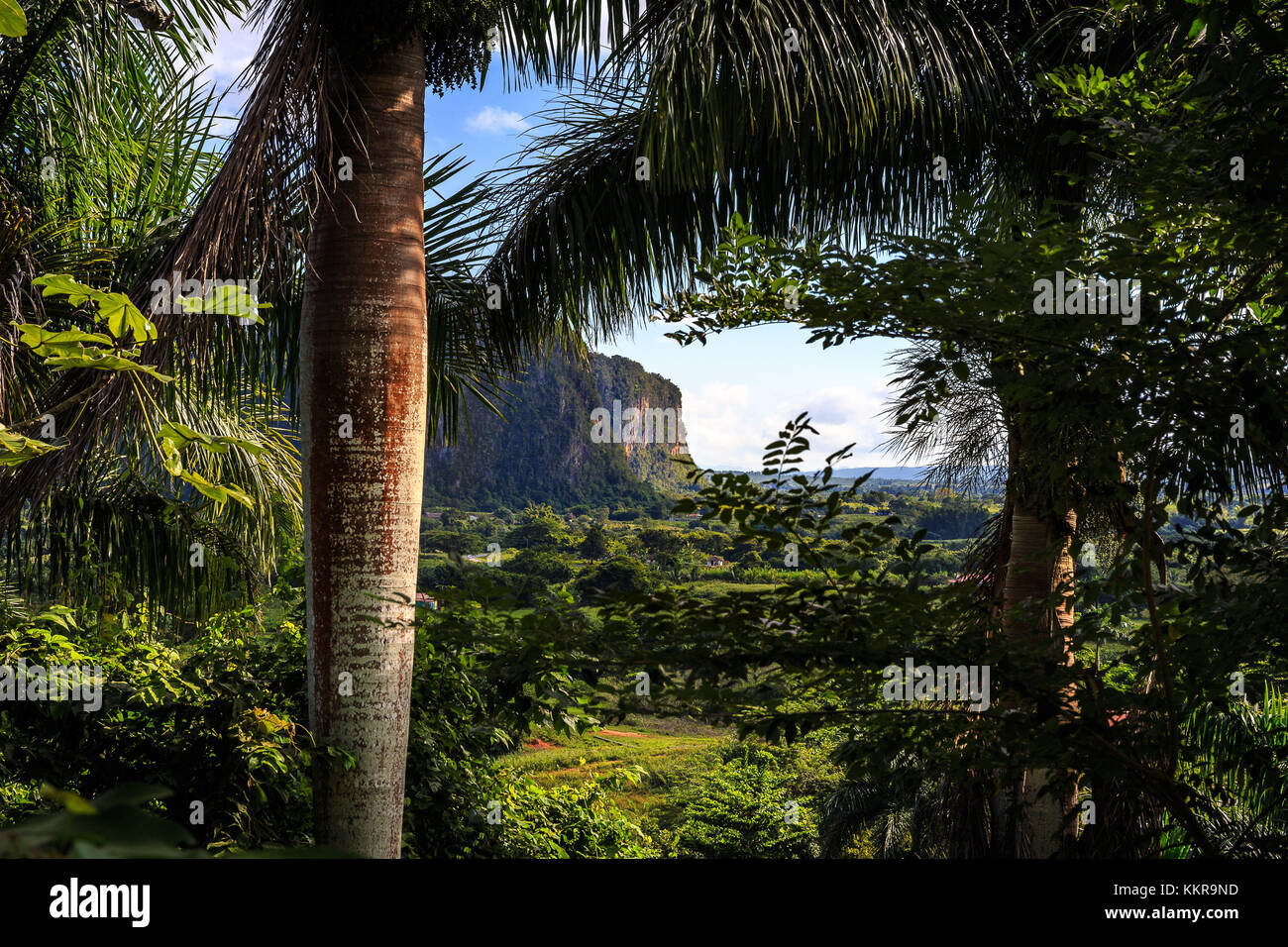 Valle de vinales hi-res stock photography and images - Alamy