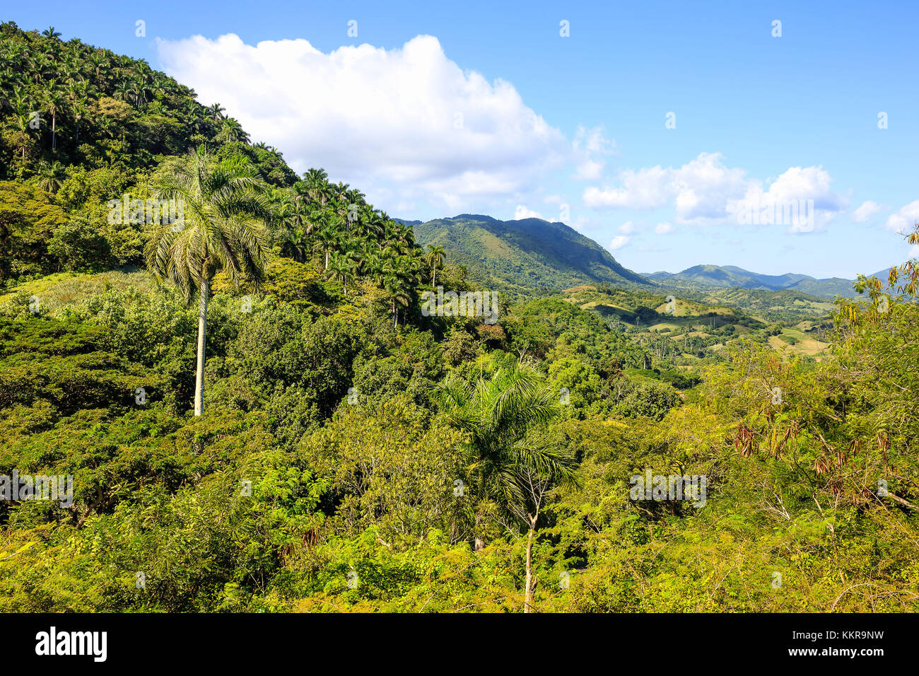 Landscape near manicaragua in the provice villa clara hi-res stock ...