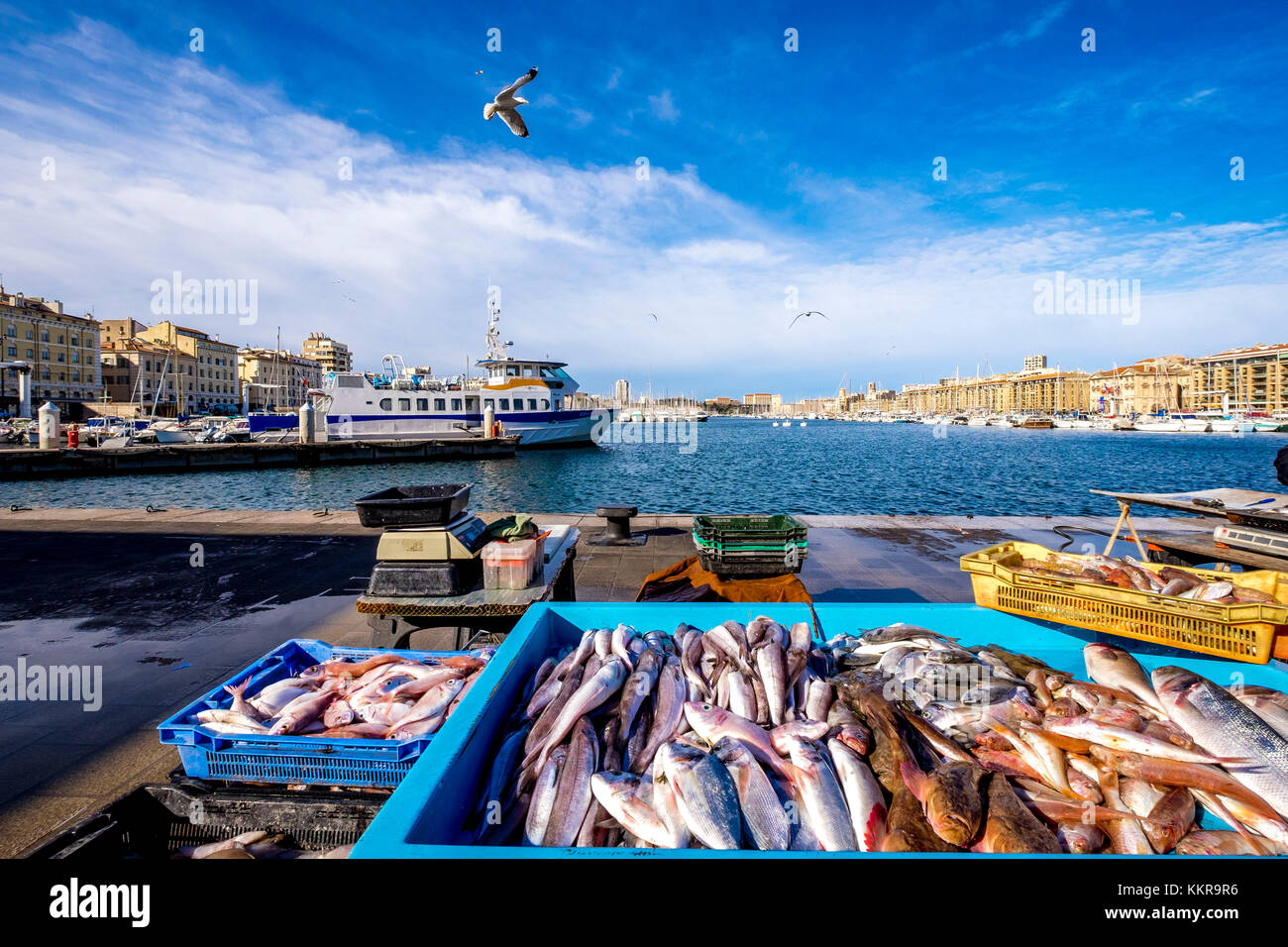 Fish seller at the fish market at the old port, Vieux Port, Marseille ...