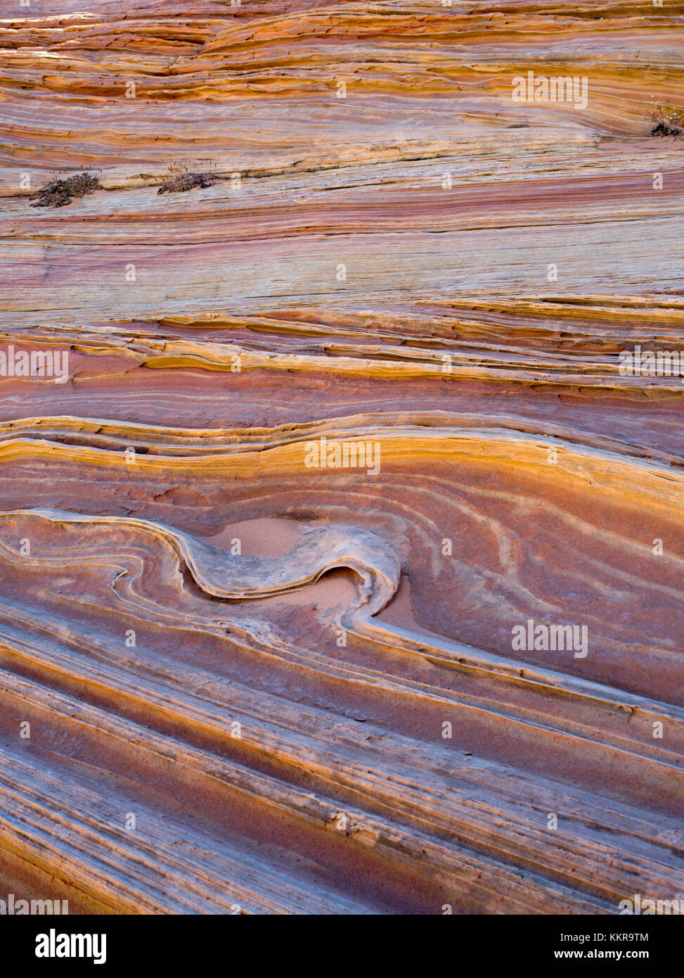 Photograph of the beautiful geology and wild rock formations at South ...