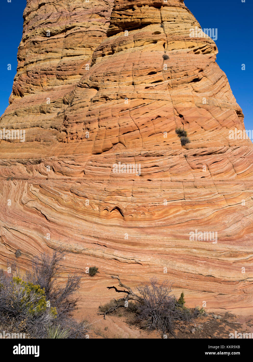 Photograph of the beautiful geology and wild rock formations at South ...