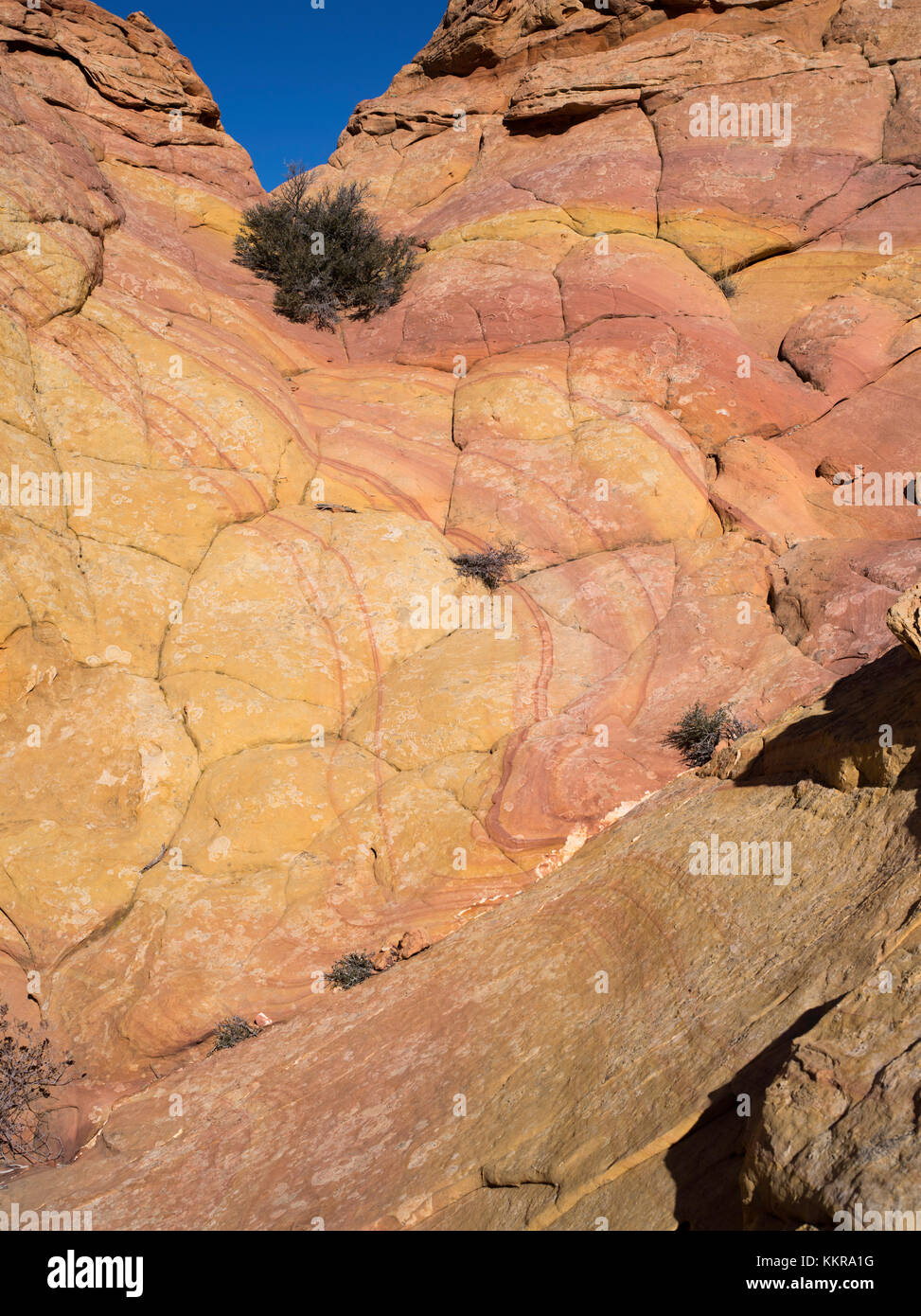 Photograph of the beautiful geology and wild rock formations at South ...