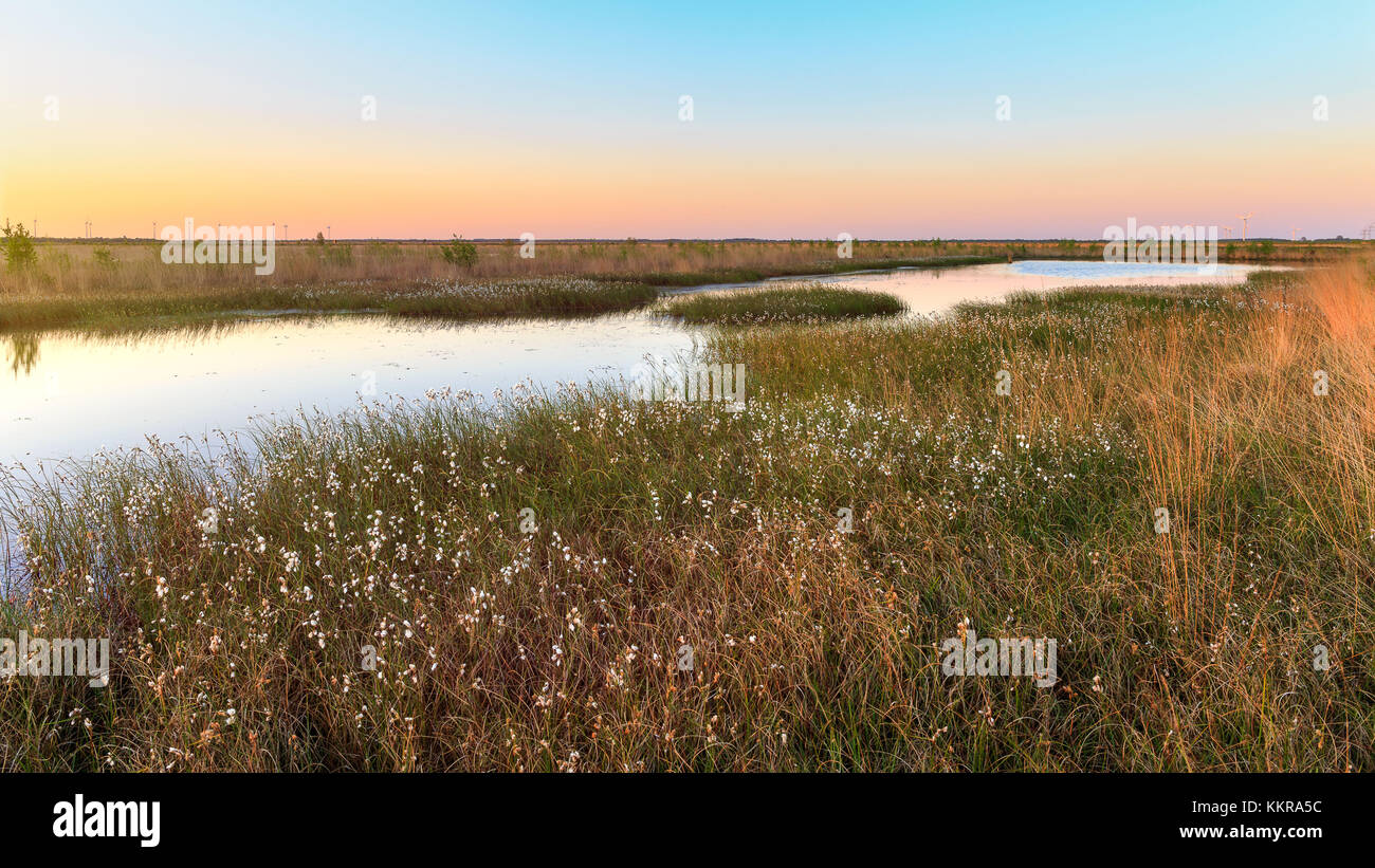 Sunset at the Moorerlebnispfad Stapeler Moor near Uplengen Stock Photo ...