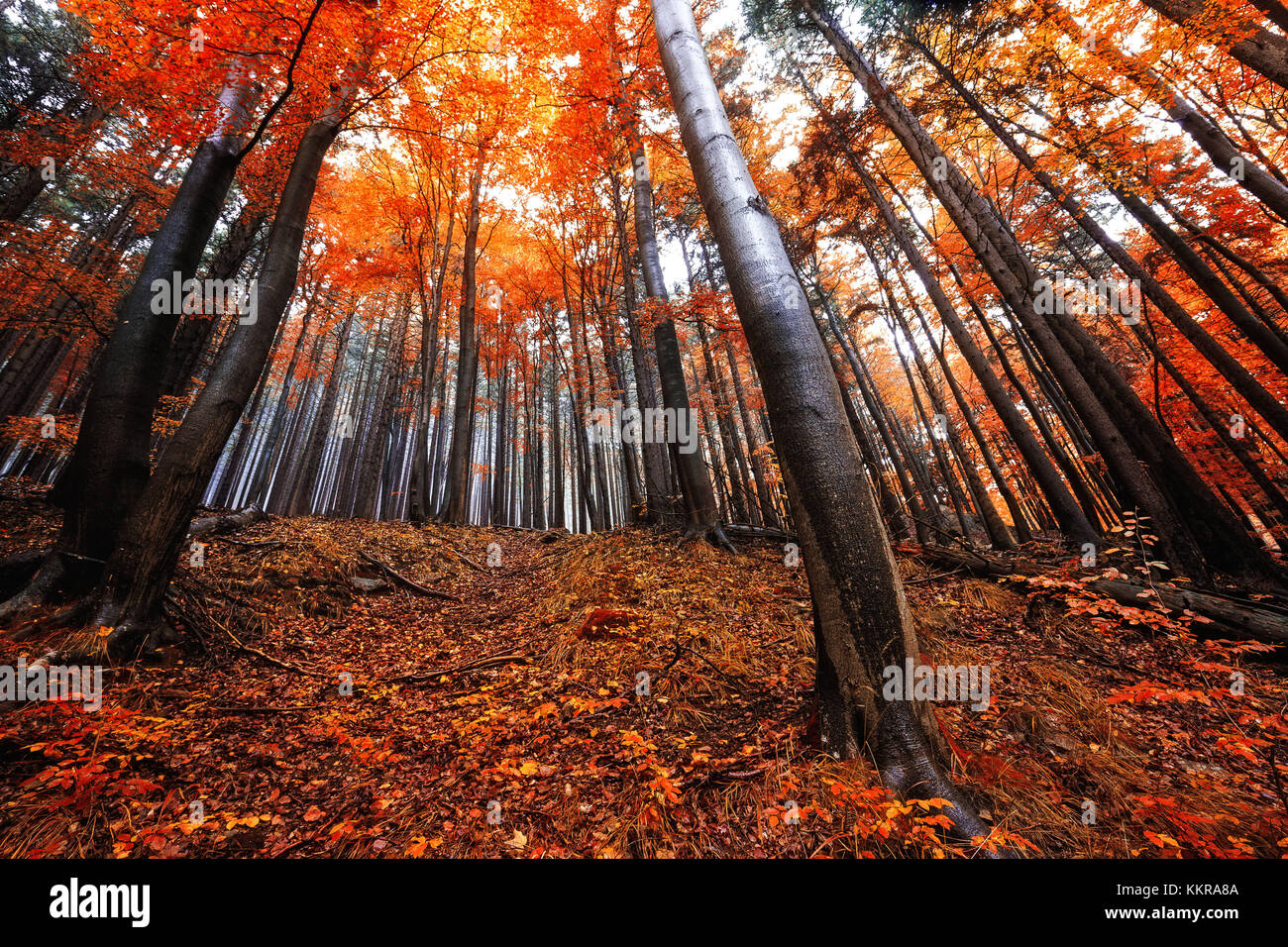 The Harz is the highest mountain range in Northern Germany and its ...
