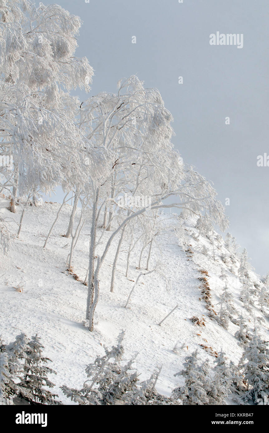 Japan winter landscape hi-res stock photography and images - Alamy