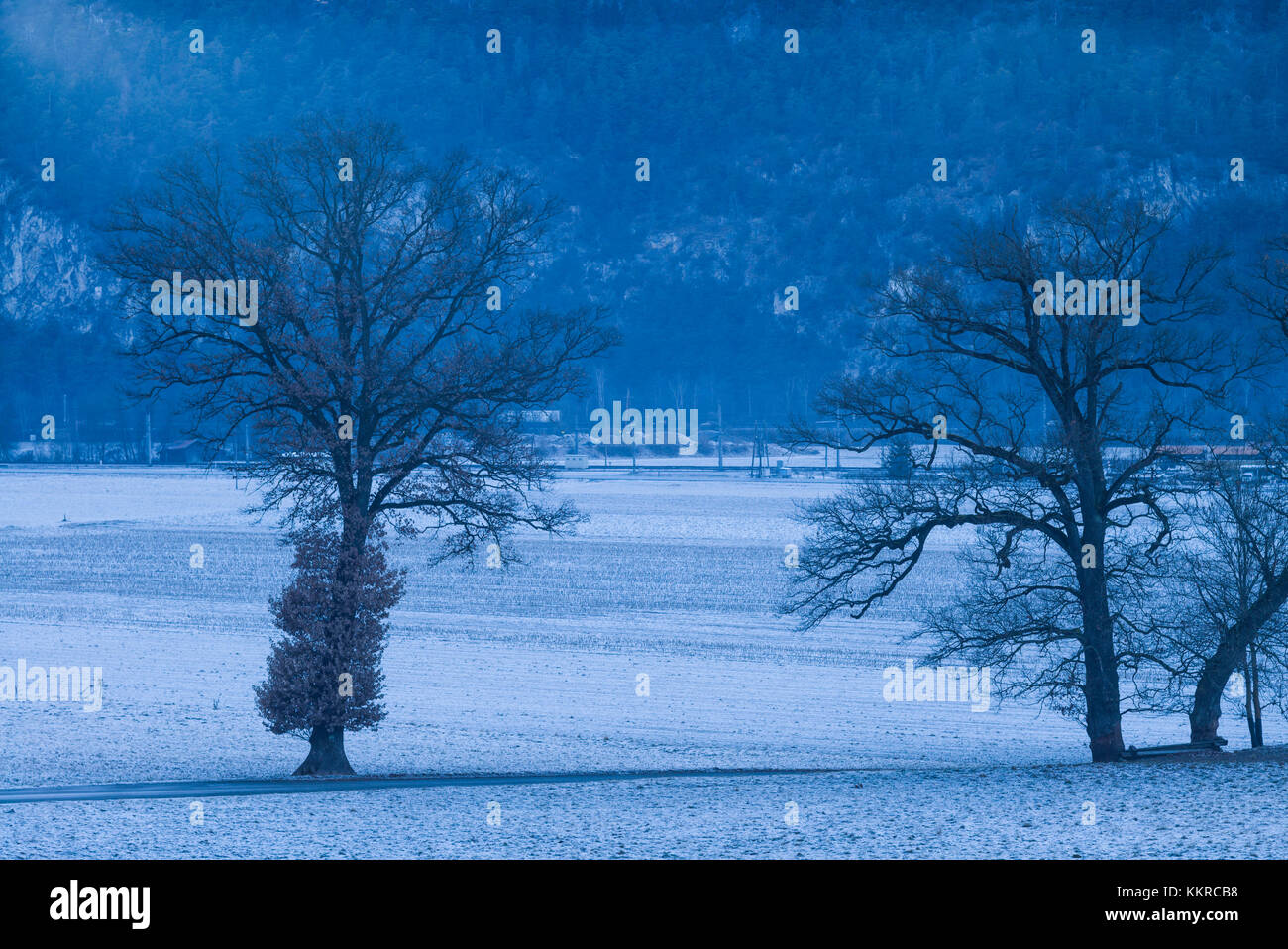 Austria, Tyrol, Stams, winter landscape Stock Photo - Alamy