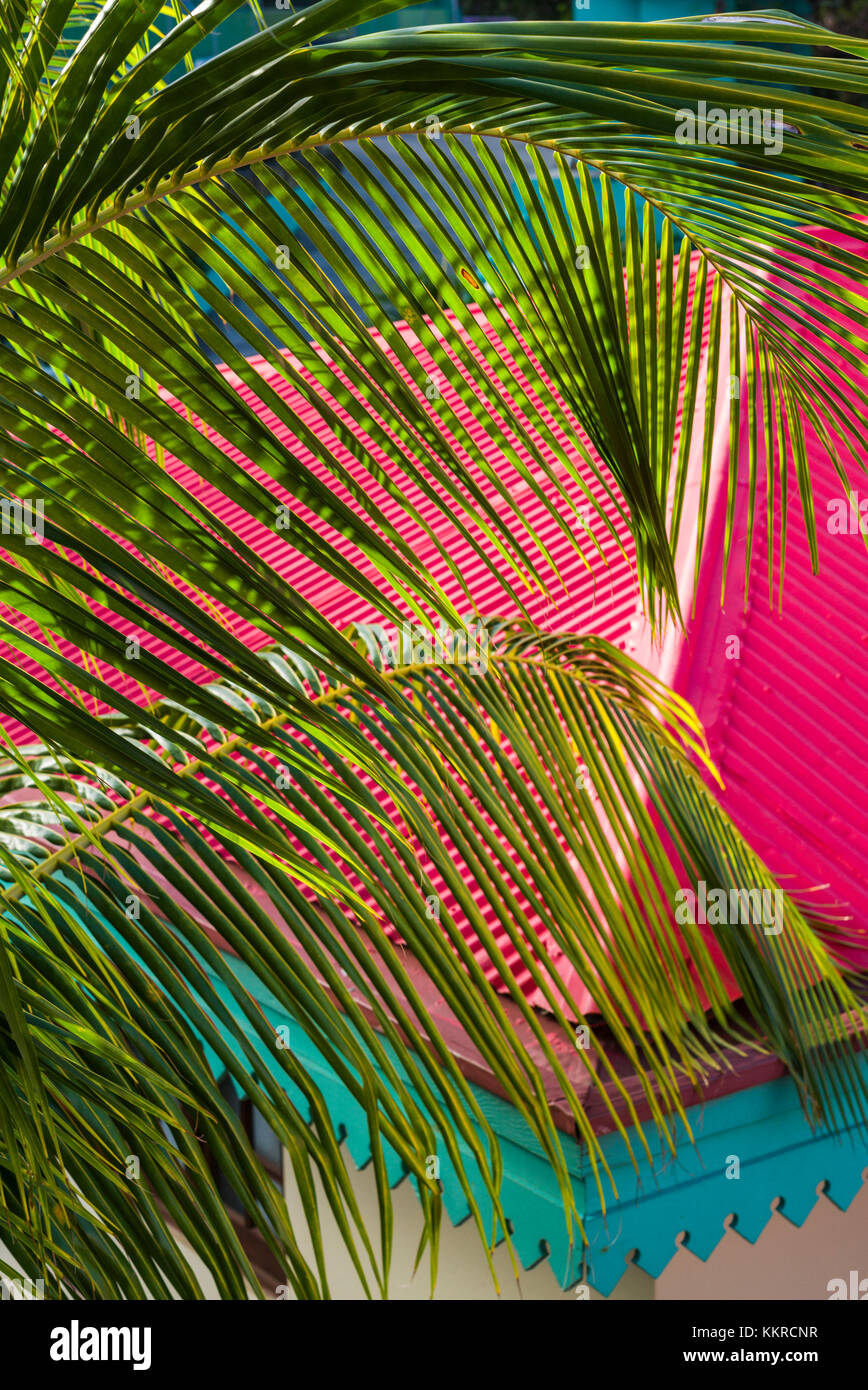 British Virgin Islands, Virgin Gorda, Leverick Bay, palm trees Stock ...