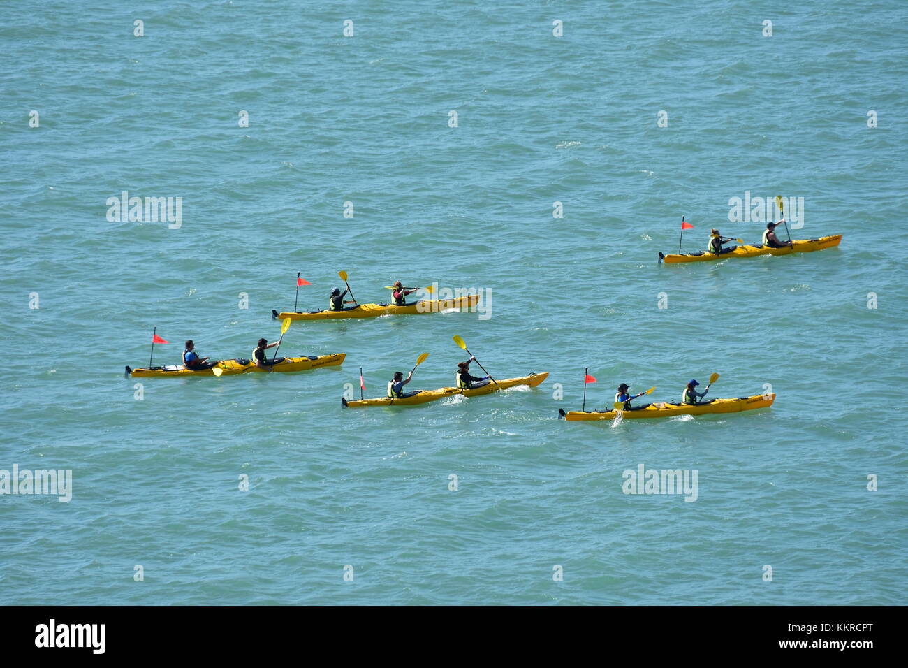 Yellow double sea kayaks with crews paddling Stock Photo - Alamy