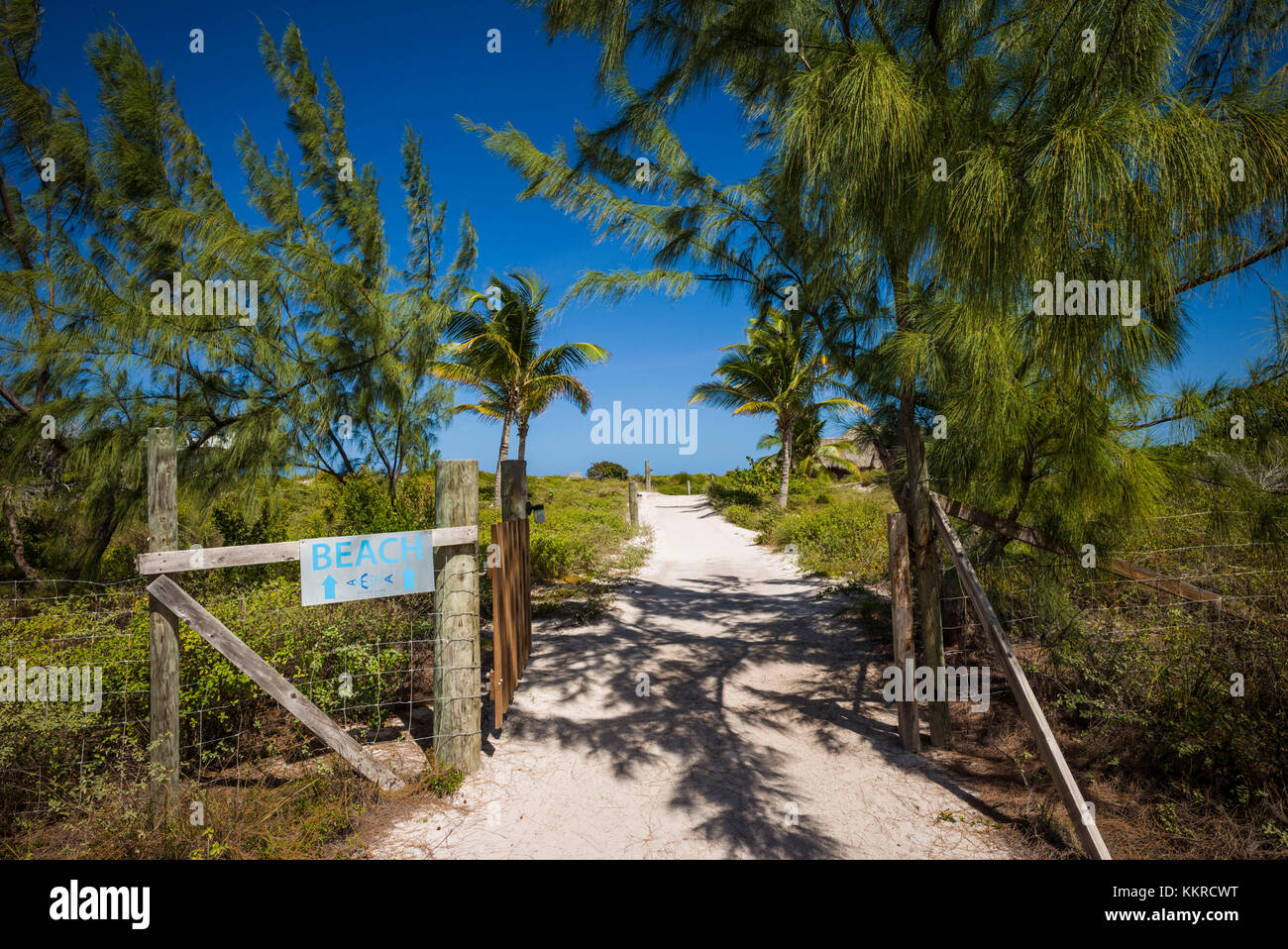 British Virgin Islands, Anegada, Bones Bight, Bones Bight Beach Stock ...