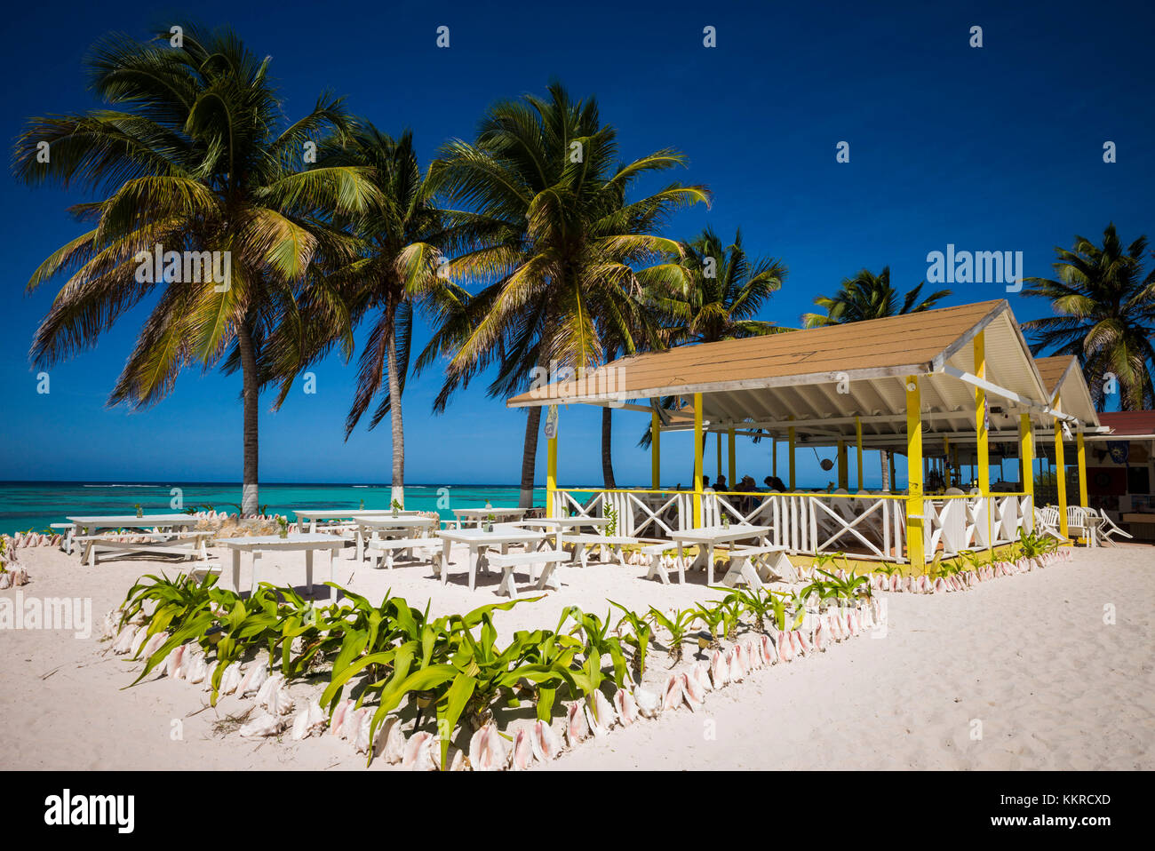 British Virgin Islands, Anegada, Cow Wreck Bay Beach, beach view Stock ...