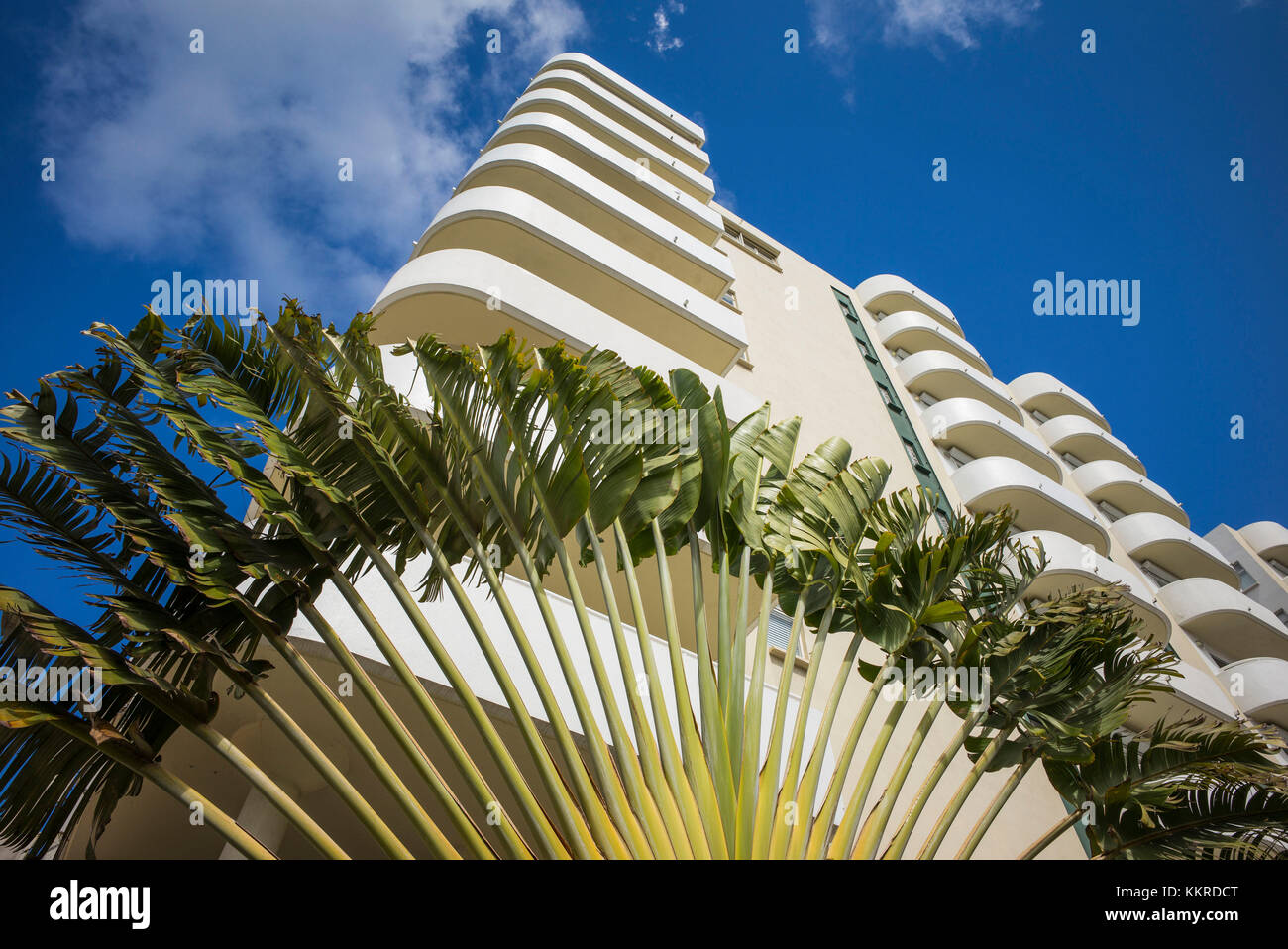 High rise building with fan palm hi-res stock photography and images ...