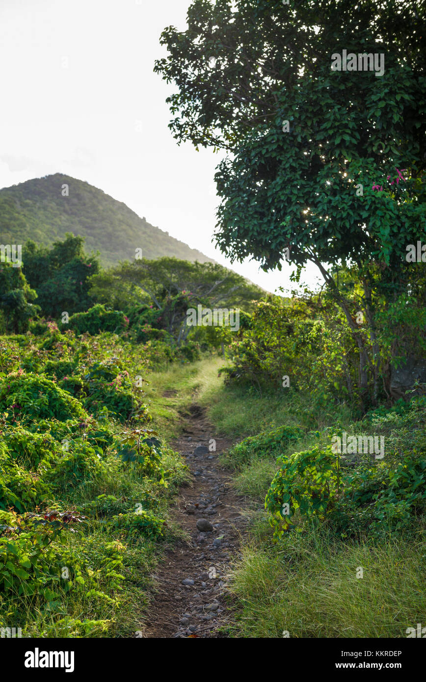 Volcano hiking trail hi-res stock photography and images - Alamy