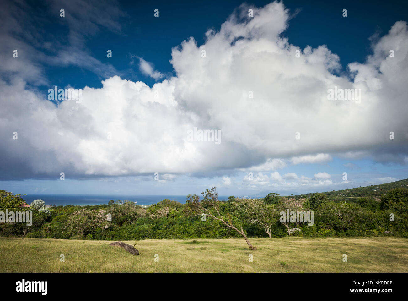 St. Kitts and Nevis, Nevis, Cole Hill, field Stock Photo - Alamy