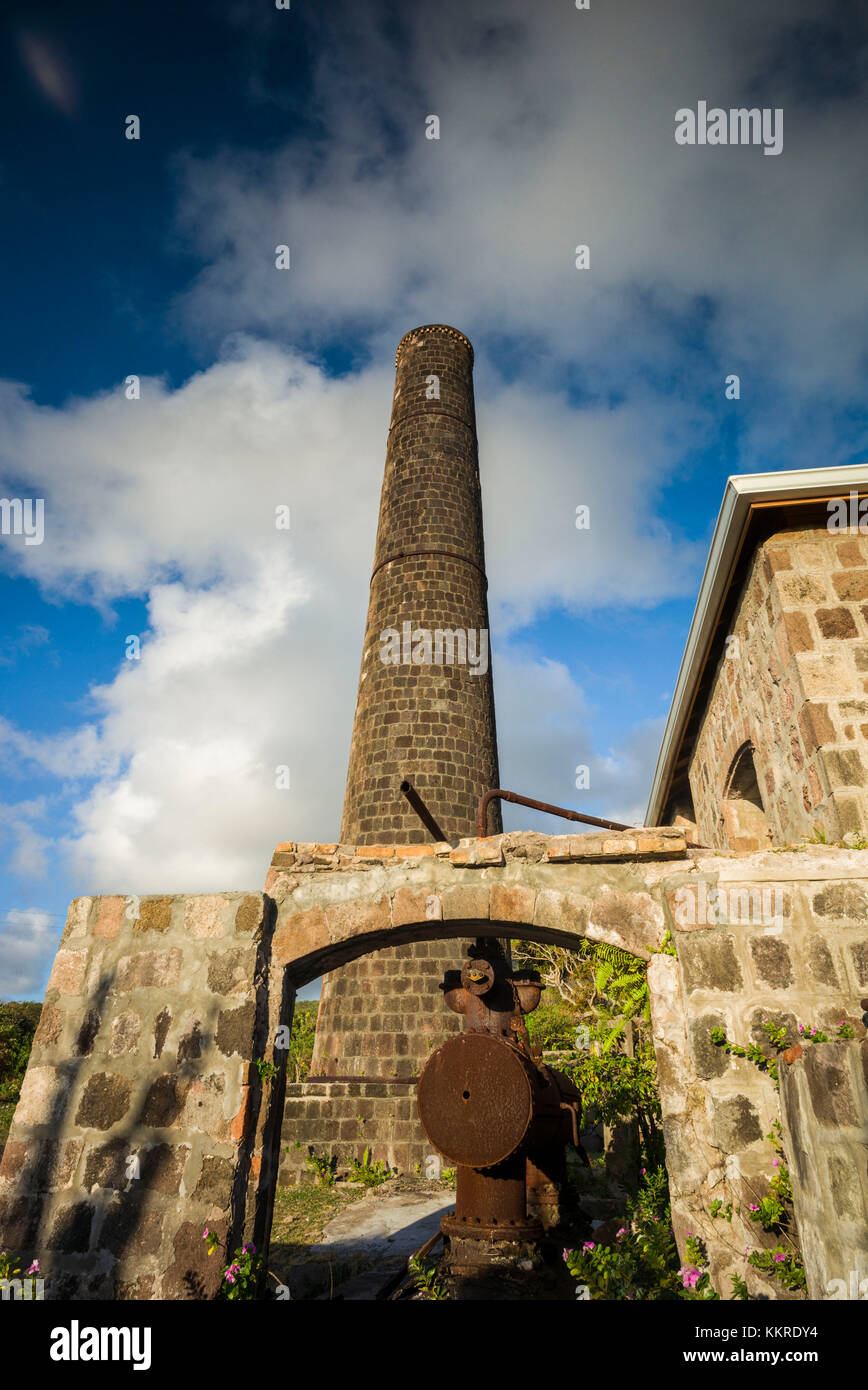 Coconut estate hi-res stock photography and images - Alamy