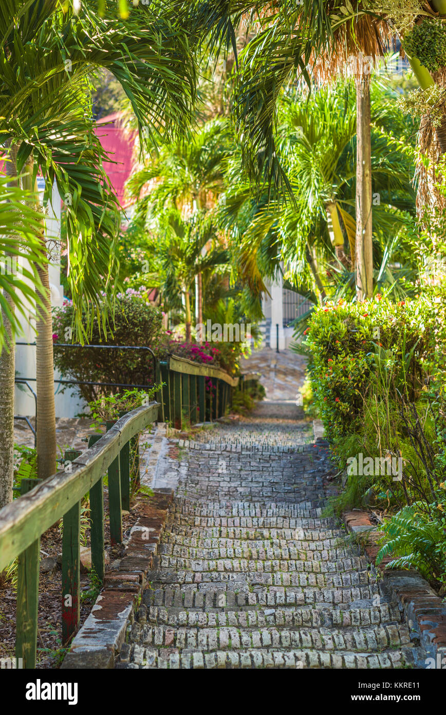 U.S. Virgin Islands, St. Thomas, Charlotte Amalie, The 99 Steps Stock ...
