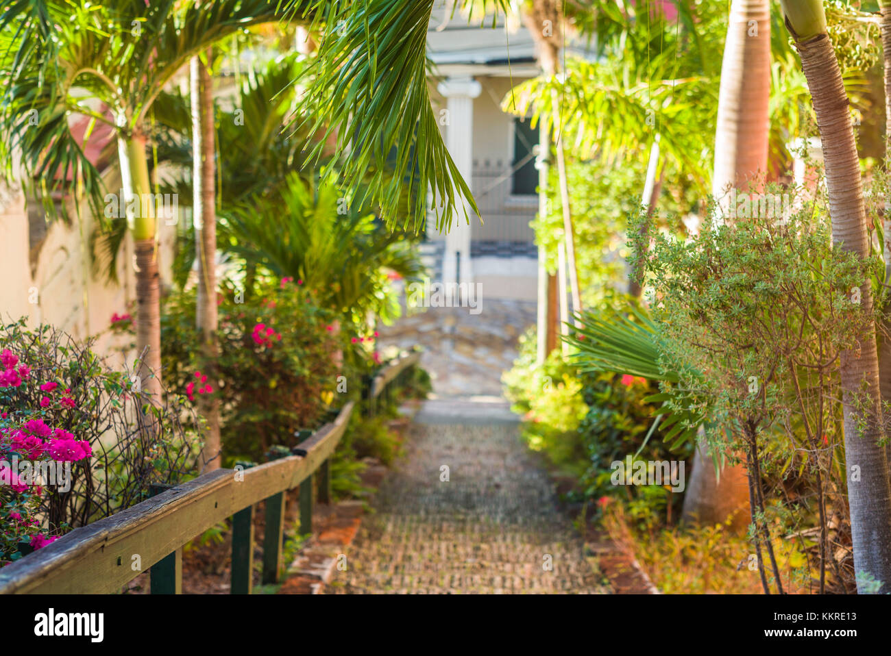 Charlotte amalie st thomas 99 steps hi-res stock photography and images ...