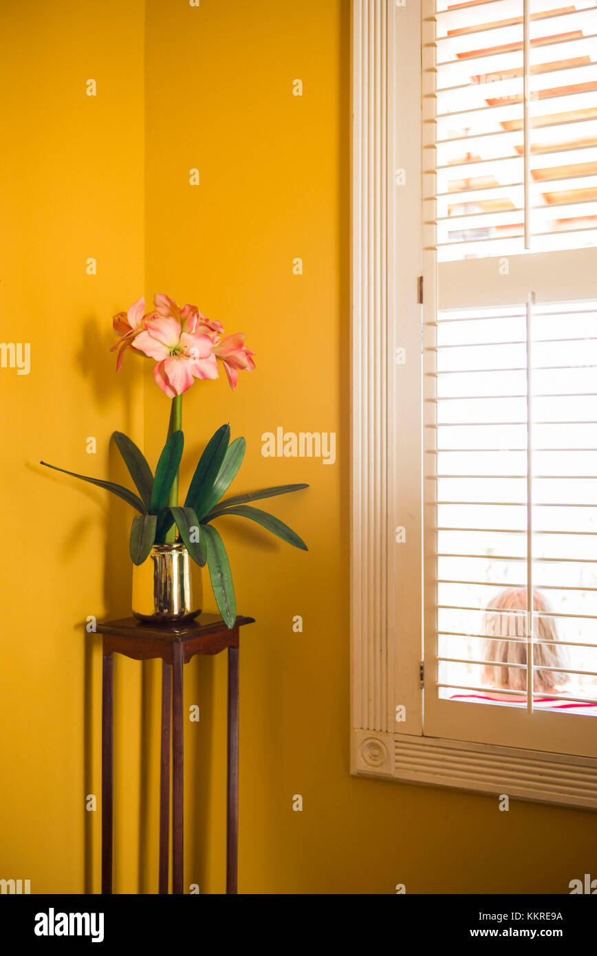 U.S. Virgin Islands, St. Thomas, Charlotte Amalie, Haagensen House ...