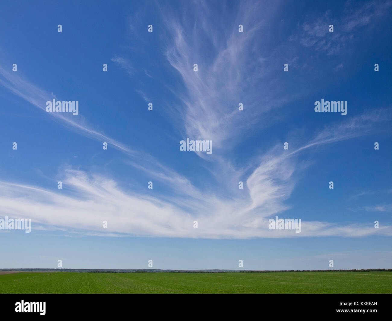 Sky and flat farmland hi-res stock photography and images - Alamy