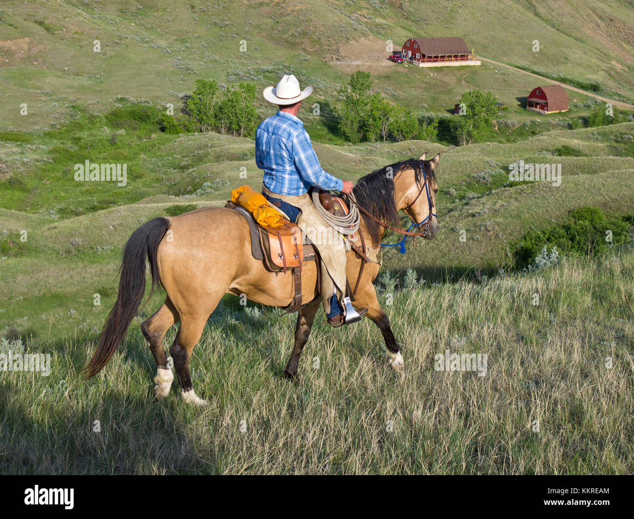 cowboy on horse Stock Photo - Alamy