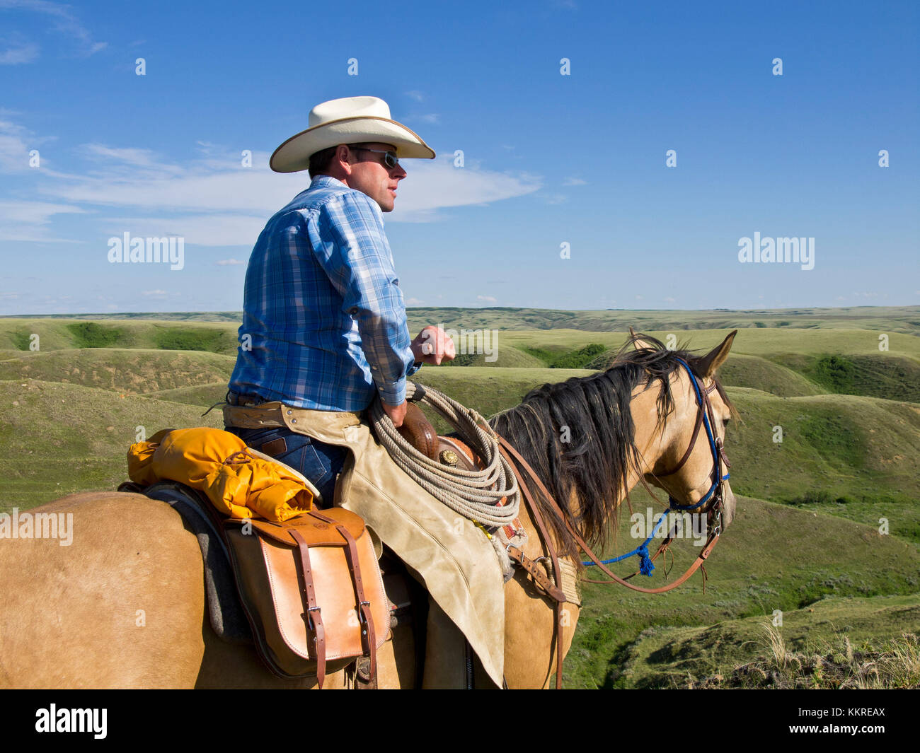 Cowboy on horse Stock Photo - Alamy