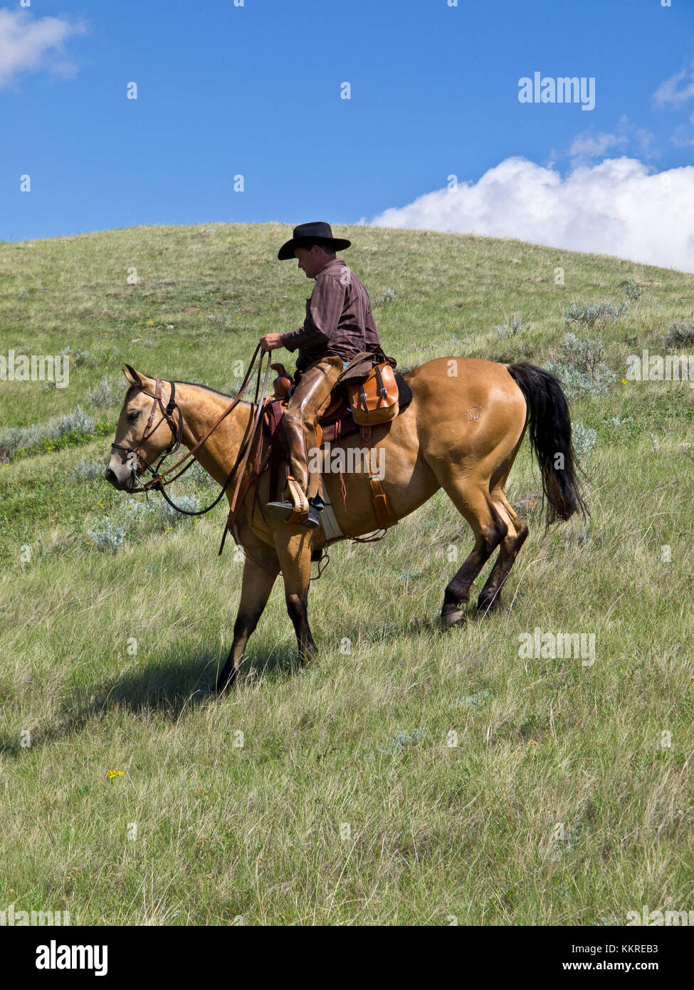 Cowboy riding horse hi-res stock photography and images - Alamy