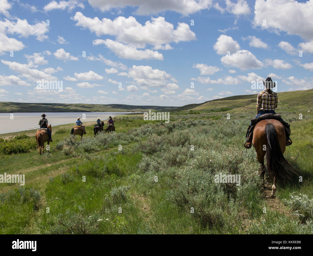horse ridershorse riders Stock Photo - Alamy