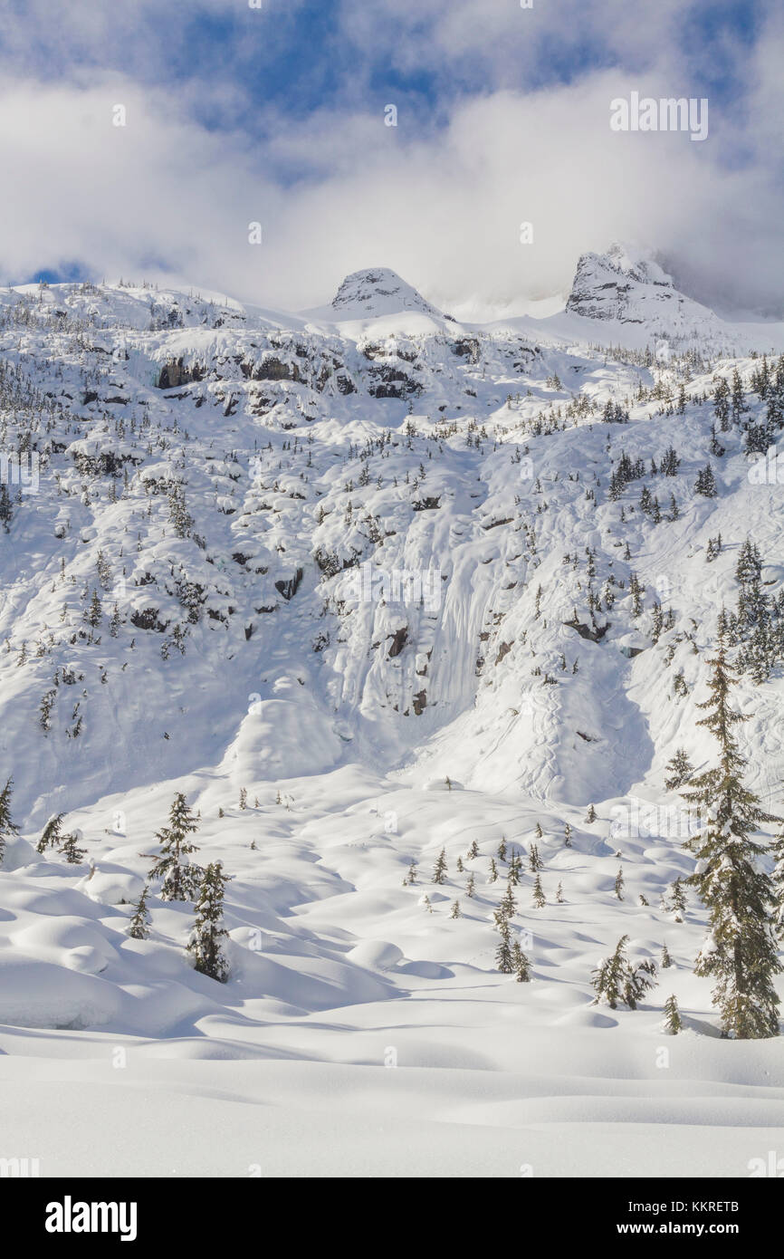 Winter snow landscape in Asulkan valley at Roger pass, British Columbia ...