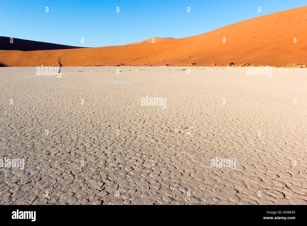 Dead vlei namib desert hi-res stock photography and images - Alamy