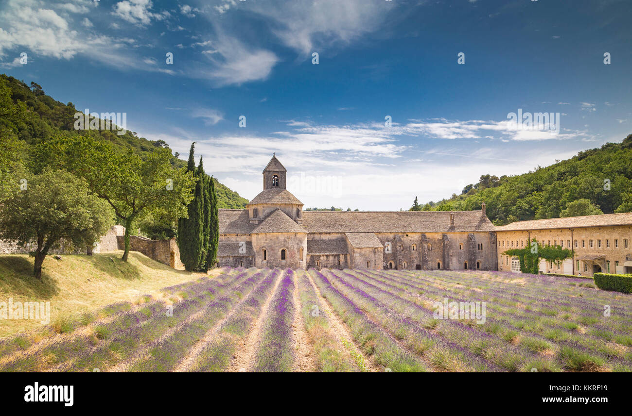 Senanque abbey, near Gordes, Provence, France Stock Photo - Alamy