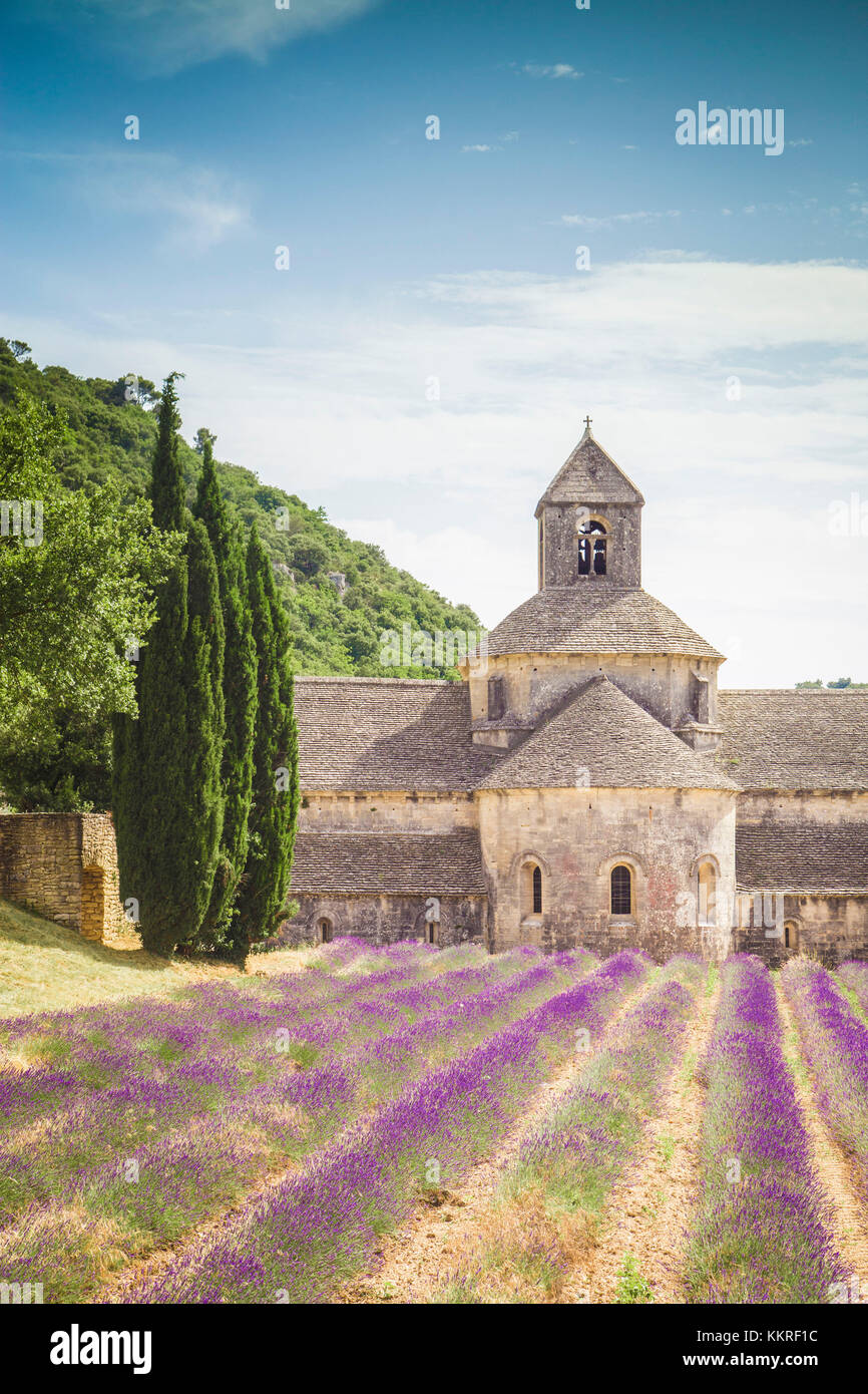 Senanque abbey, near Gordes, Provence, France Stock Photo - Alamy