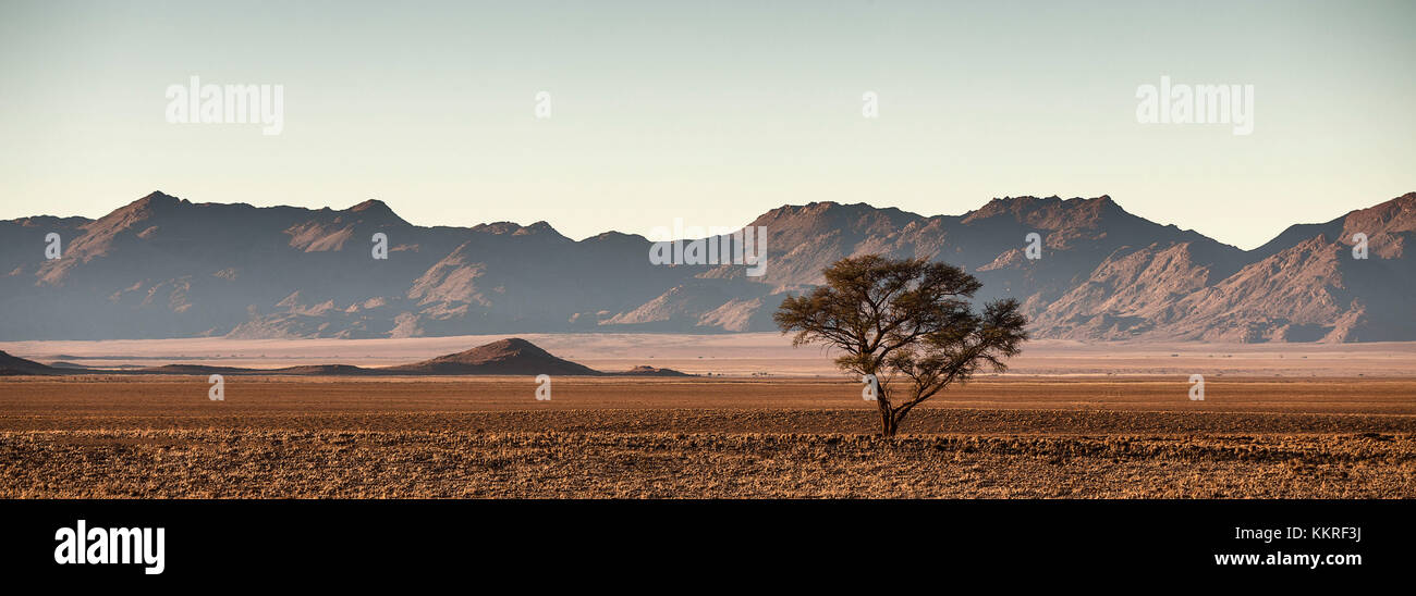 Tree in karas region hi-res stock photography and images - Alamy