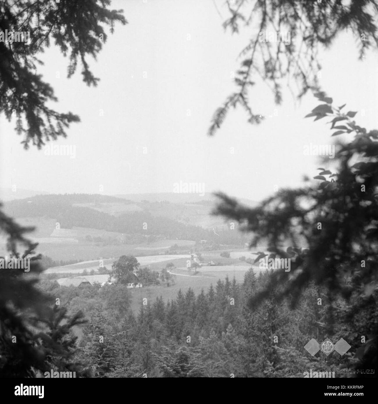 This photograph taken in 1963 captures a view of Stenico from Ljubnica ...