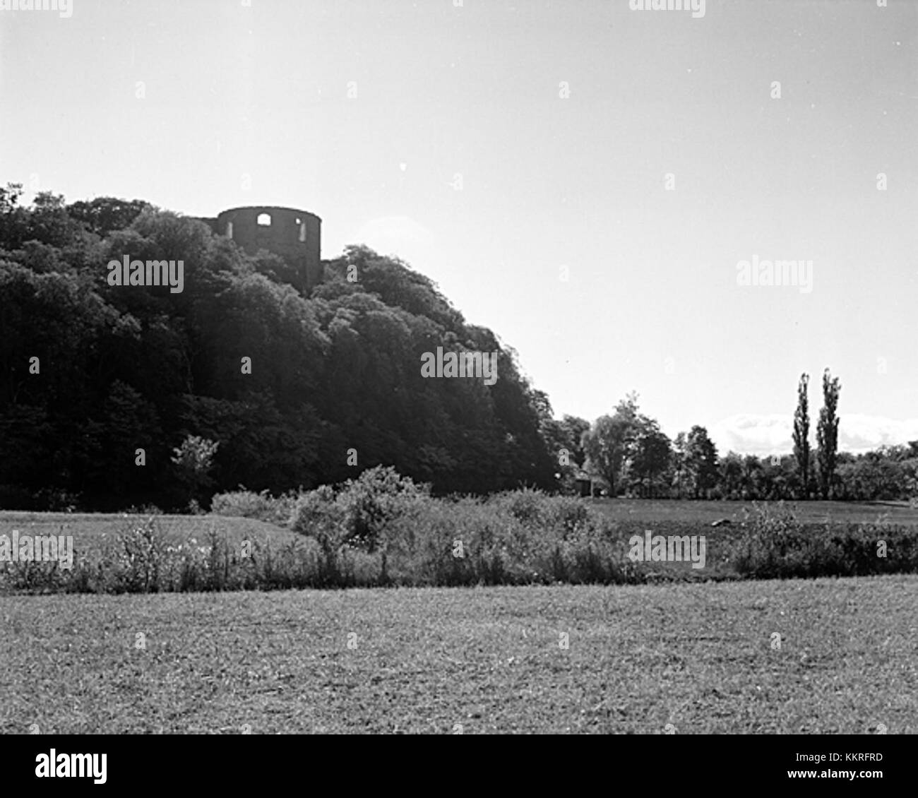 Photograph of the Borgholm Castle ruins (Borgholms slottsruin) on Öland ...