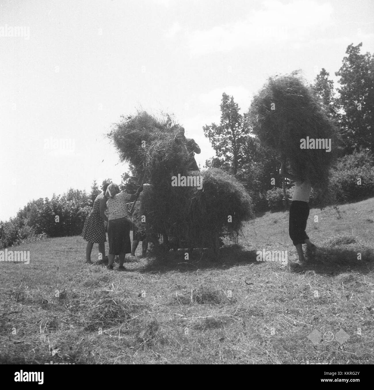 Traditional haymaking hi-res stock photography and images - Alamy
