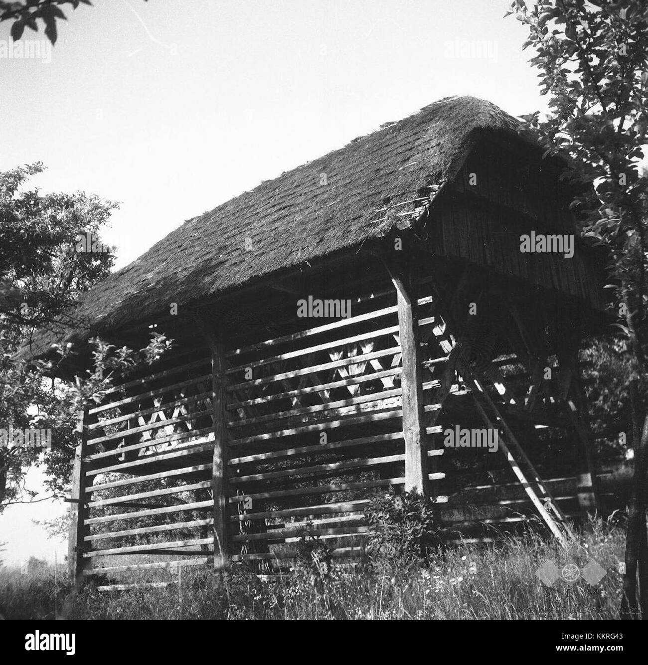 This photograph showcases Kozolec Toplar, a traditional Slovenian ...