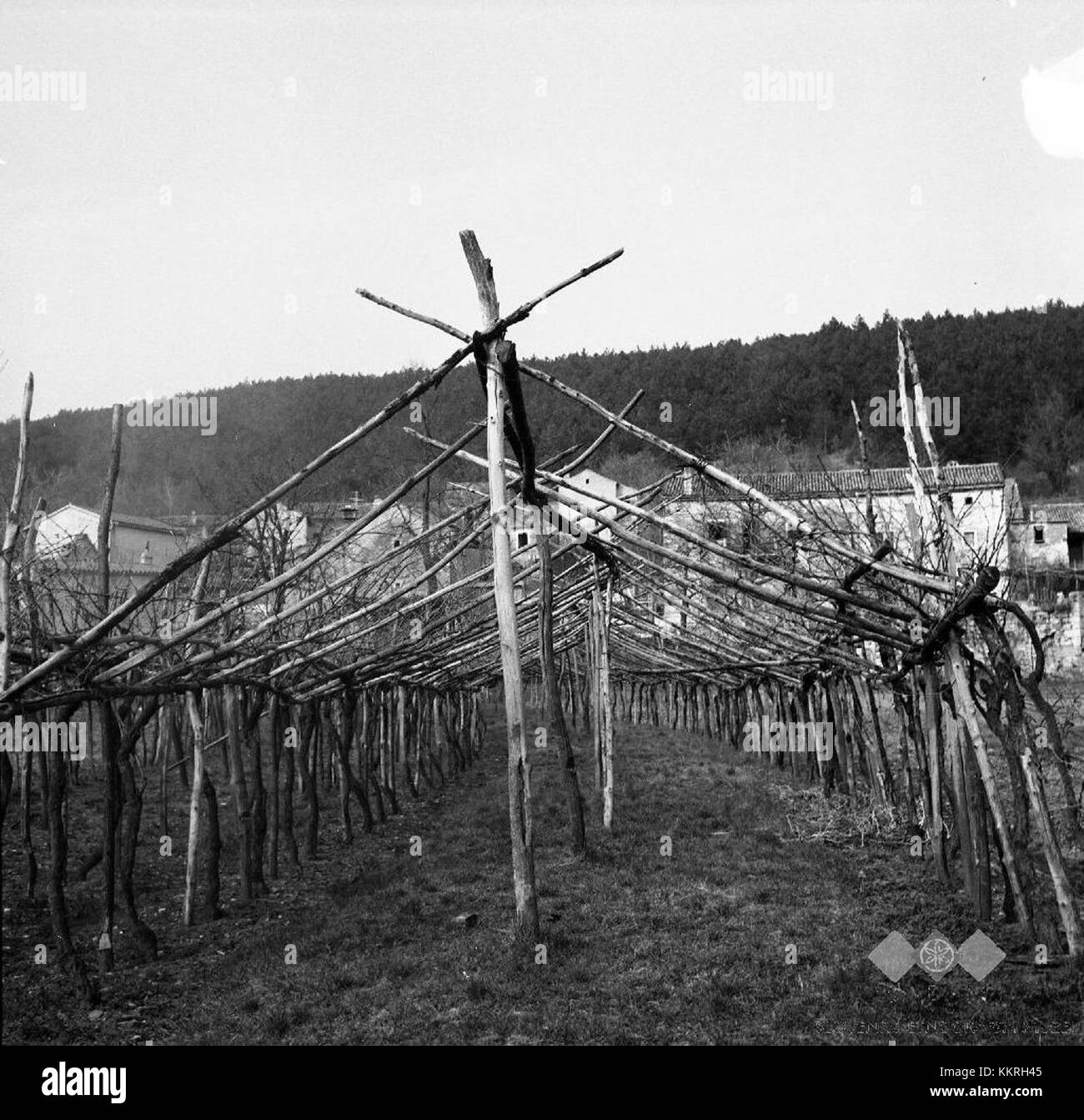 Repen hi-res stock photography and images - Alamy