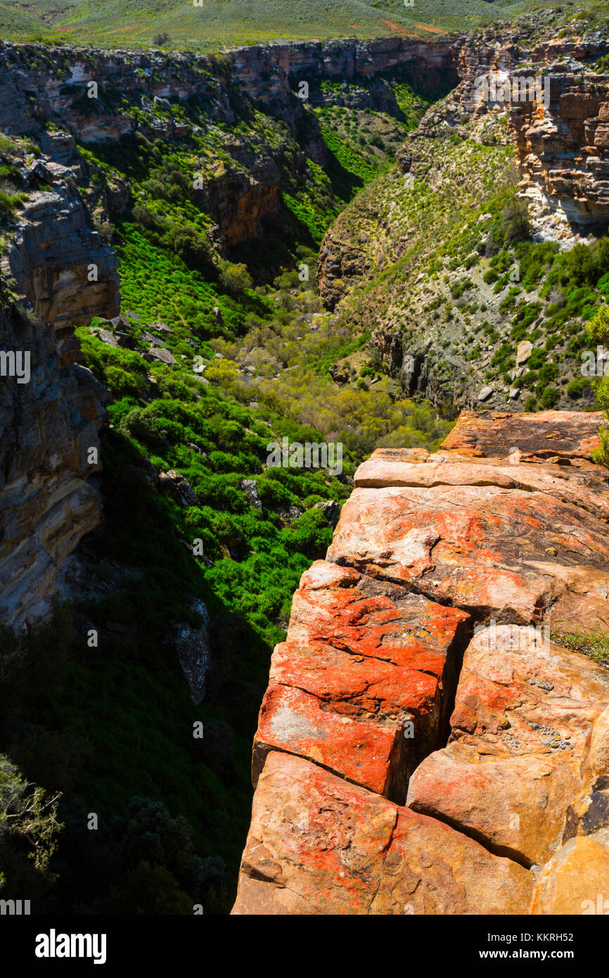 Waterfall, Nieuwoudtville, Namaqualand, Northern Cape province, South ...