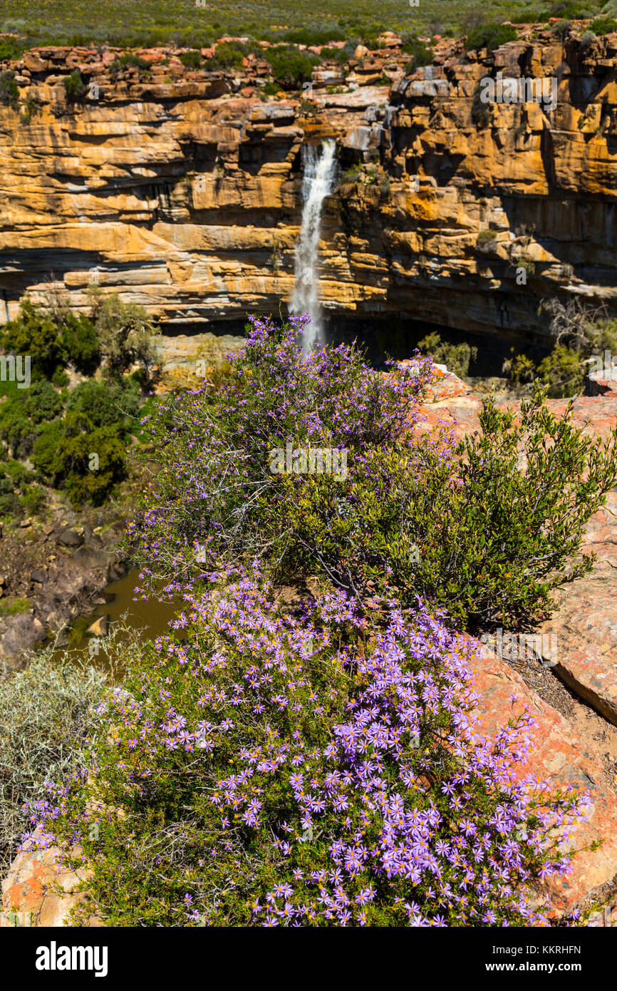 Waterfall, Nieuwoudtville, Namaqualand, Northern Cape province, South ...
