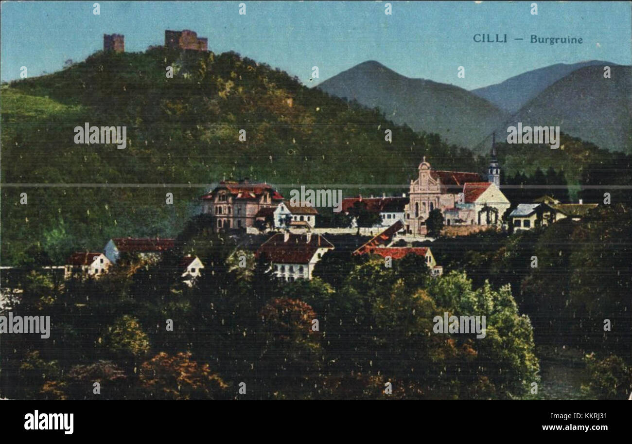 A vintage postcard showcasing a scenic view of Celje, Slovenia ...