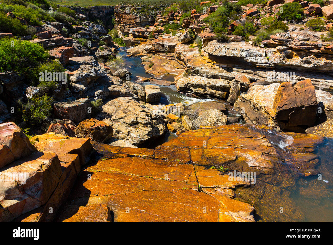 Waterfall, Nieuwoudtville, Namaqualand, Northern Cape province, South ...