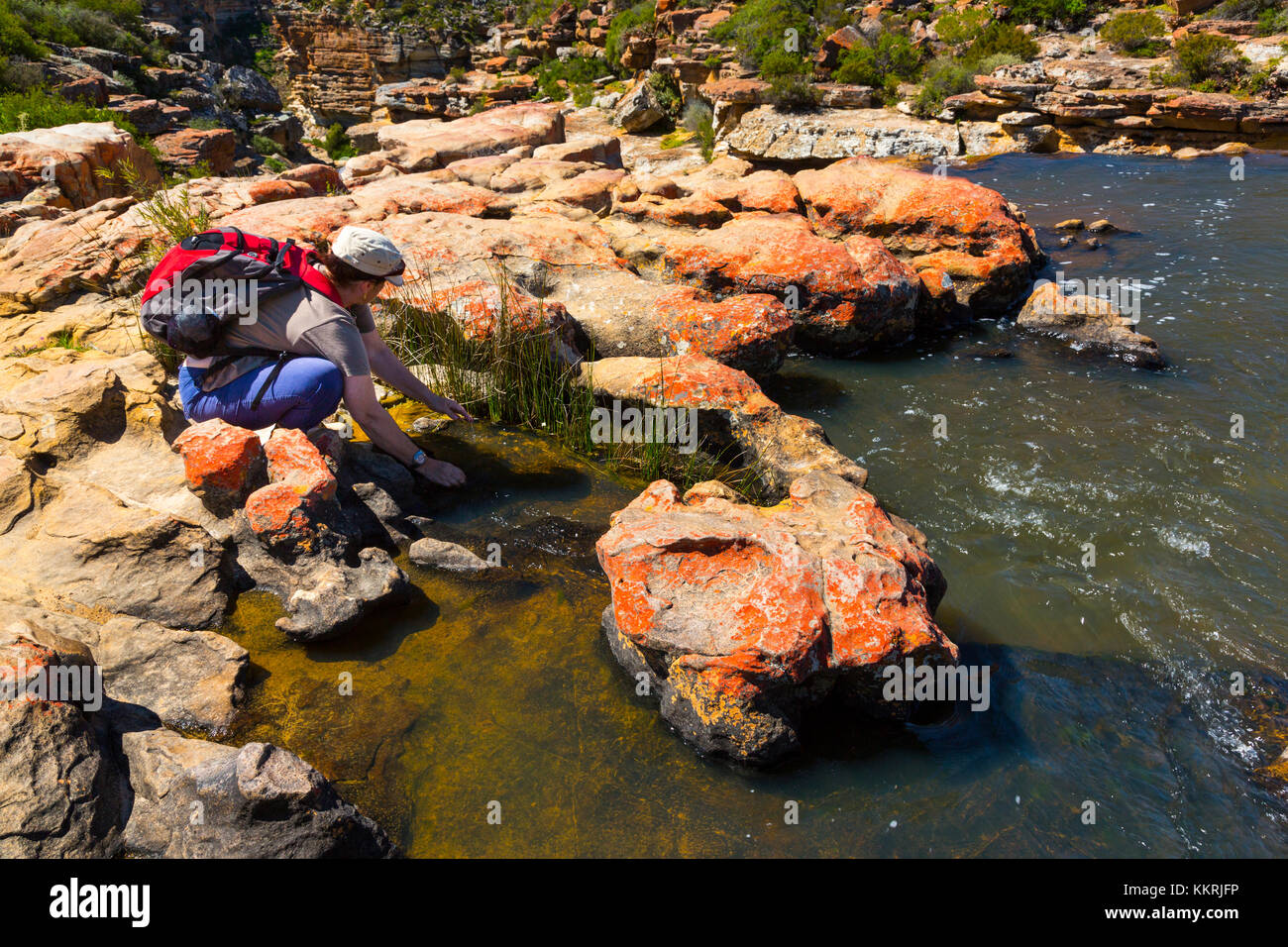Waterfall, Nieuwoudtville, Namaqualand, Northern Cape province, South ...