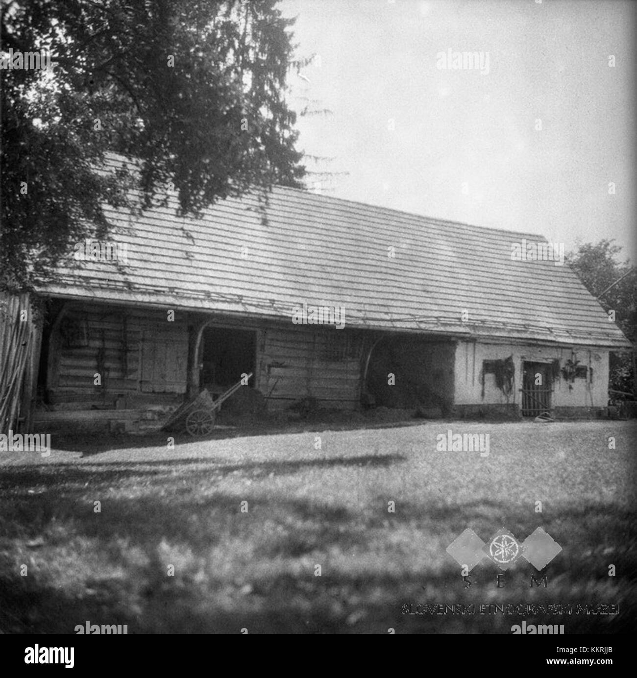 An image from 1949 showing a solitary farm in Podgorica, Montenegro ...