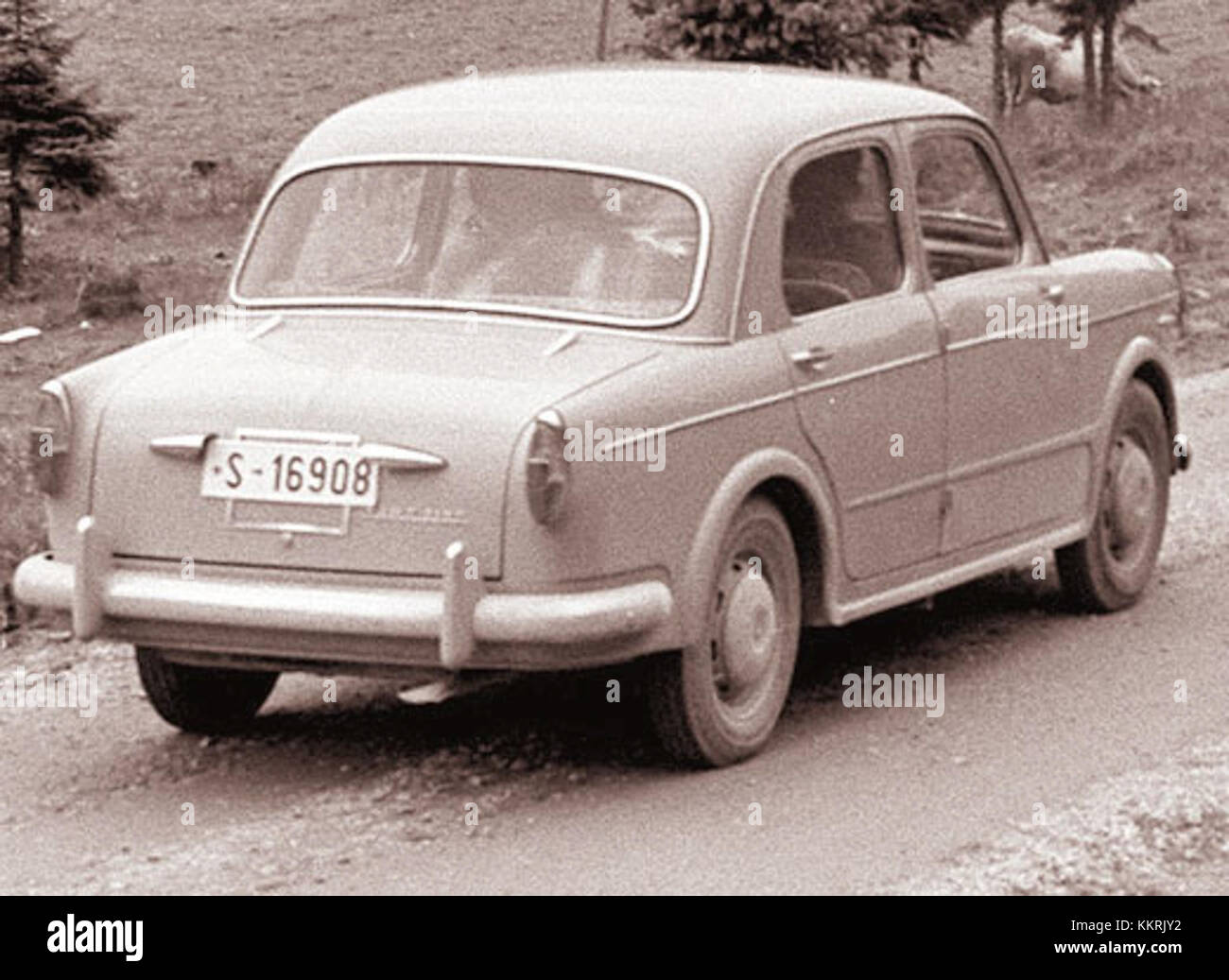 Fiat 1100 103 D rear Stock Photo - Alamy