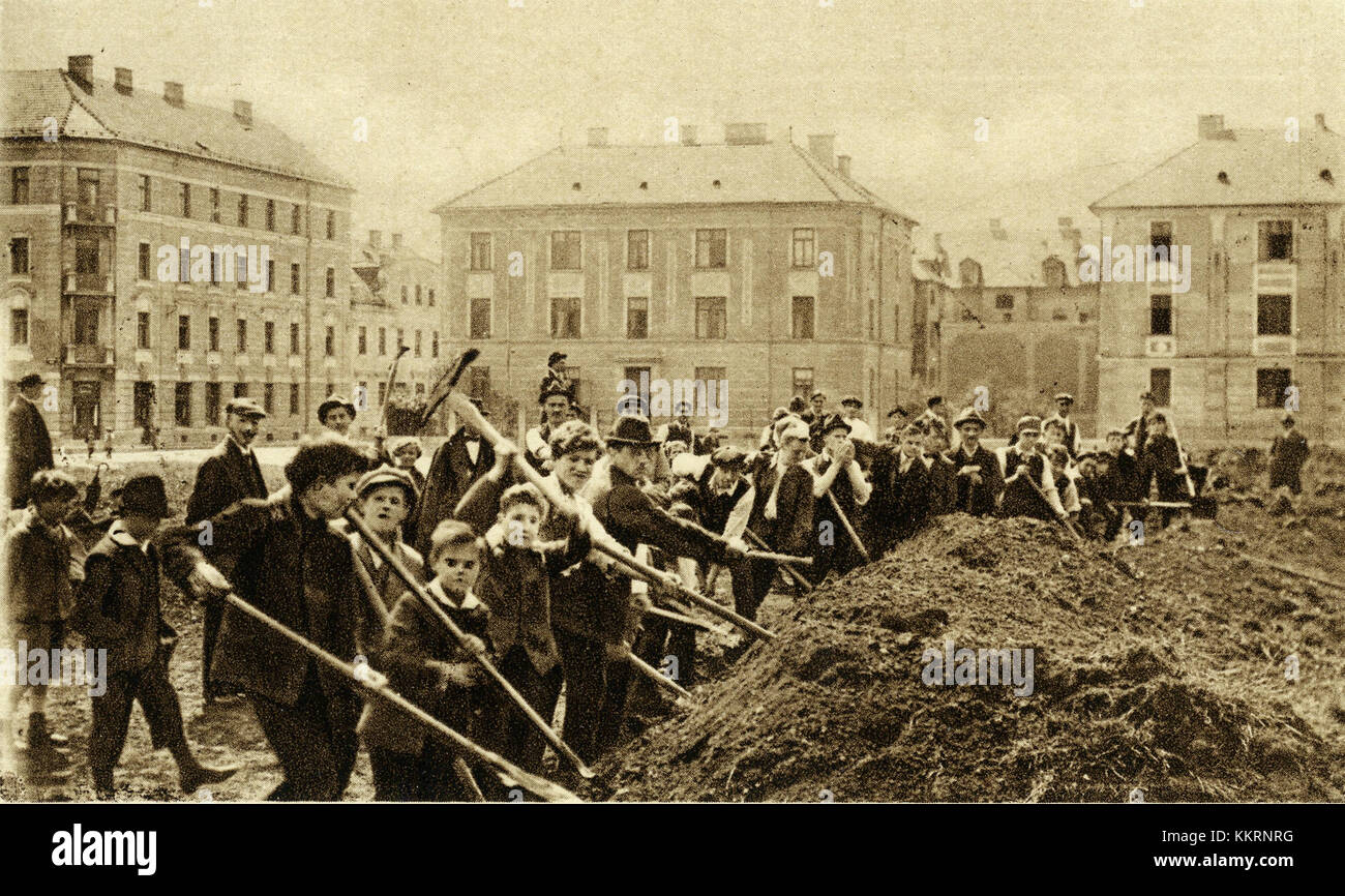 The construction of the Sokolski Dom Tabor in 1923 represents an ...