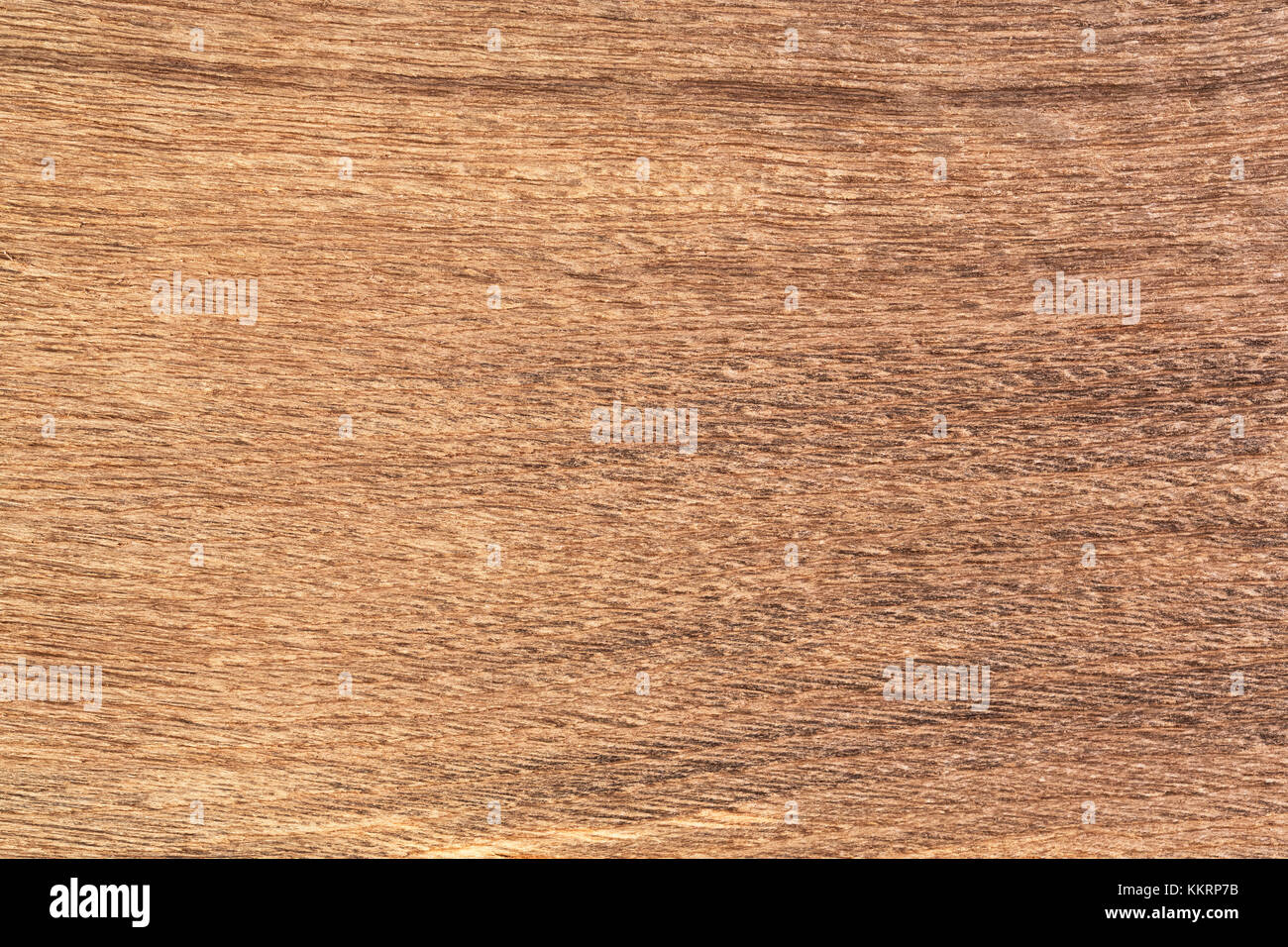 Natural wood texture. Bog oak Stock Photo - Alamy